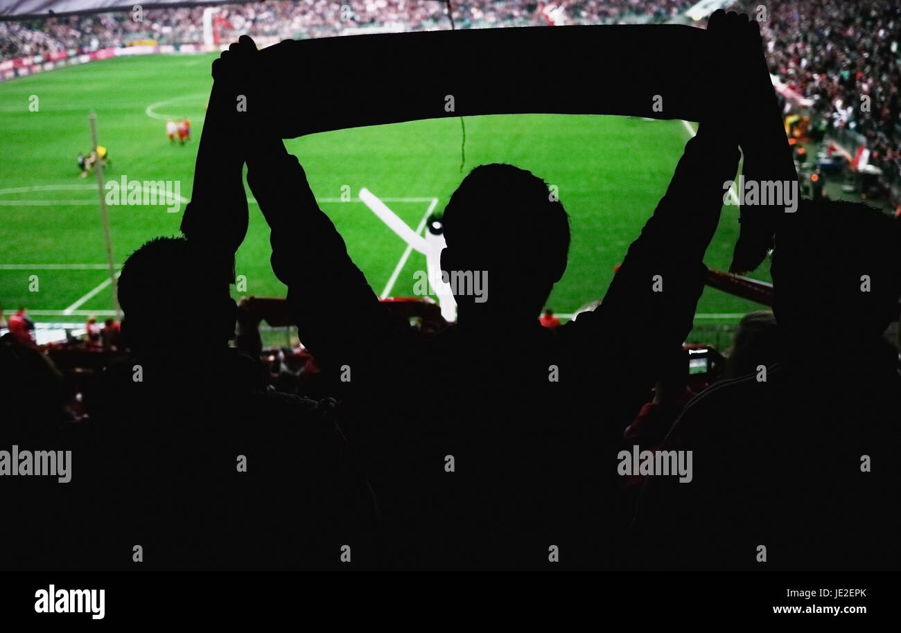 Fußball Fans im Stadion Stock Photo - Alamy