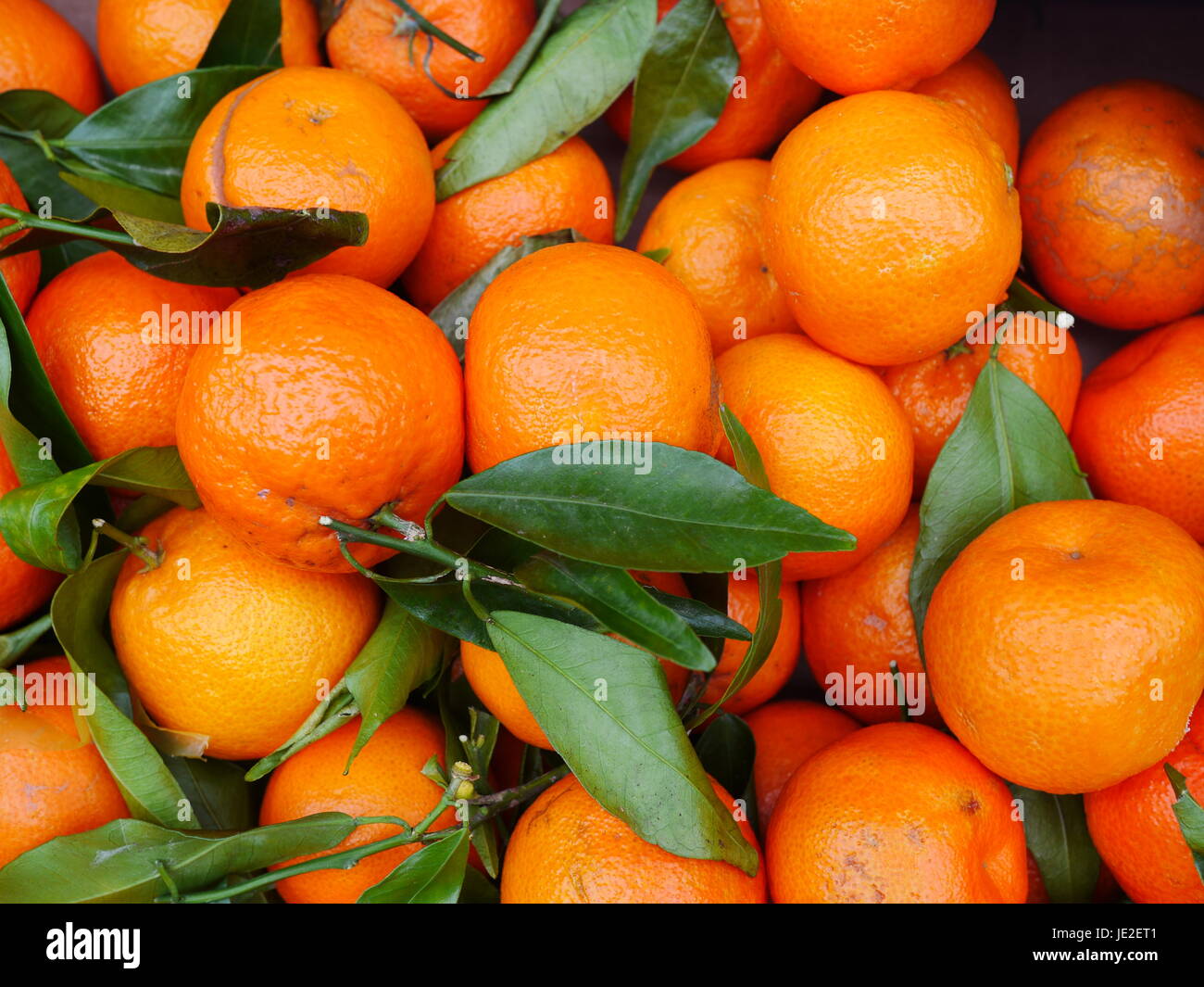 Orangenhalfte hi-res stock photography and images - Alamy