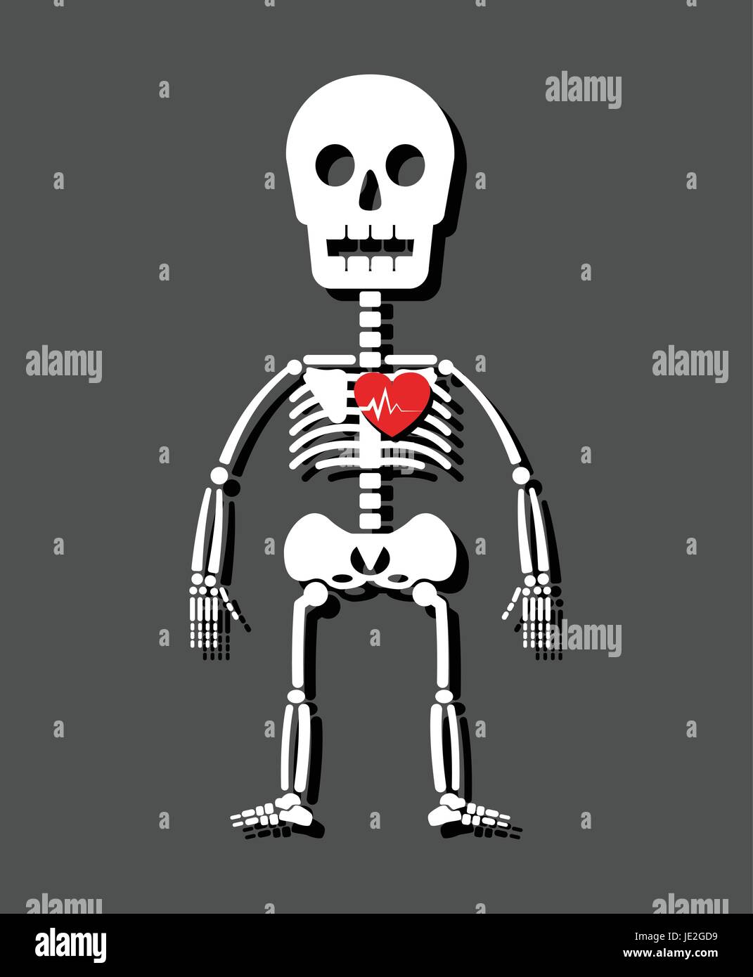 Human skeleton and heart . Cartoon style Stock Vector Image & Art - Alamy