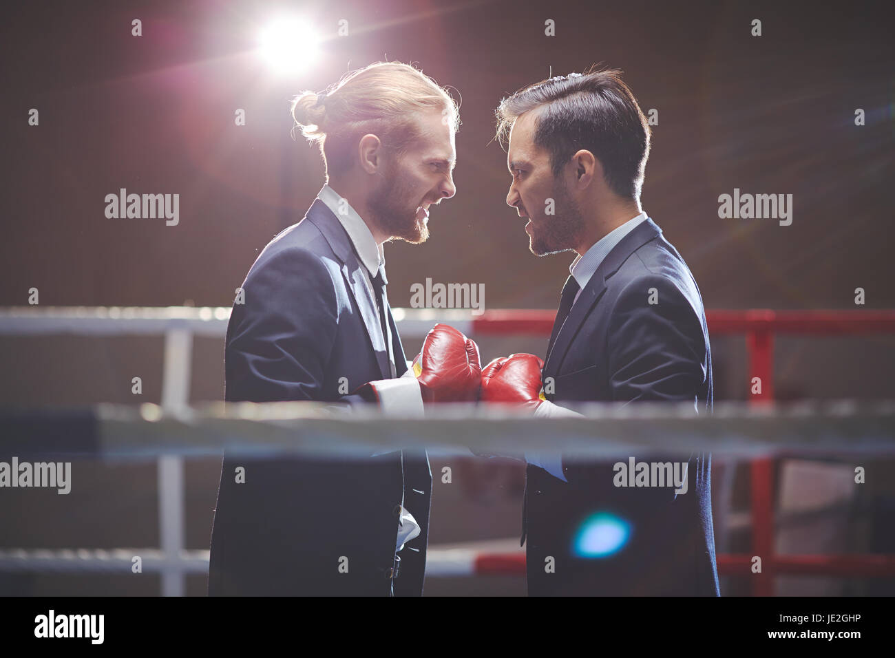 Aggressive business boxers looking at one another Stock Photo - Alamy