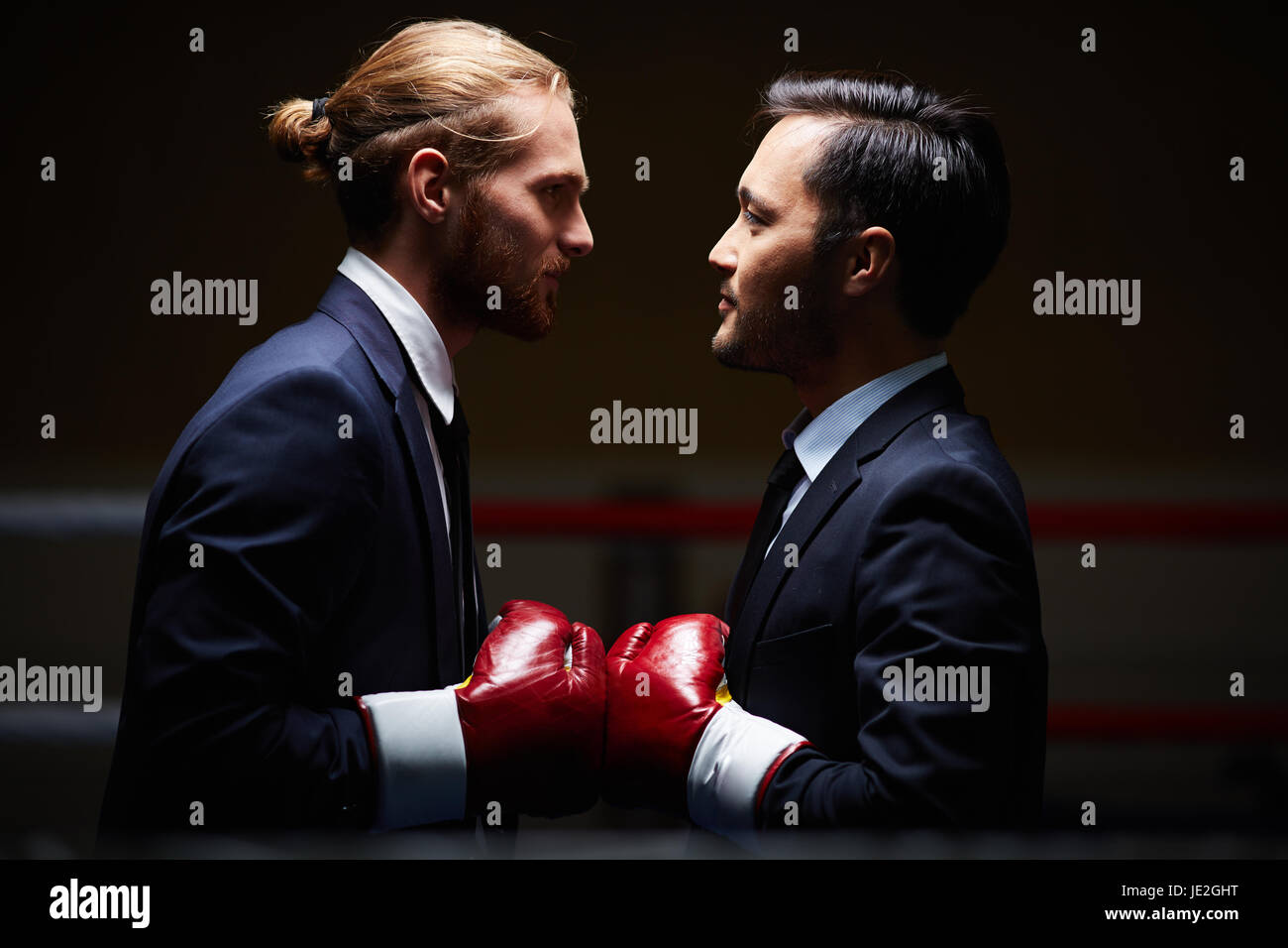 Two male business boxers looking at one another in isolation Stock ...