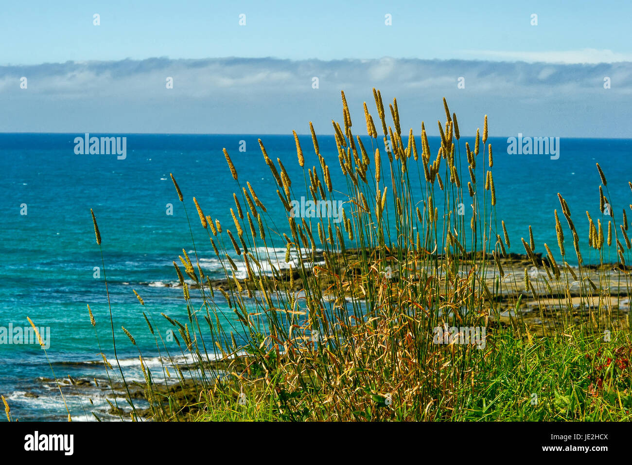 All shades of blue of the Pacific ocean. The Australian coast Stock ...