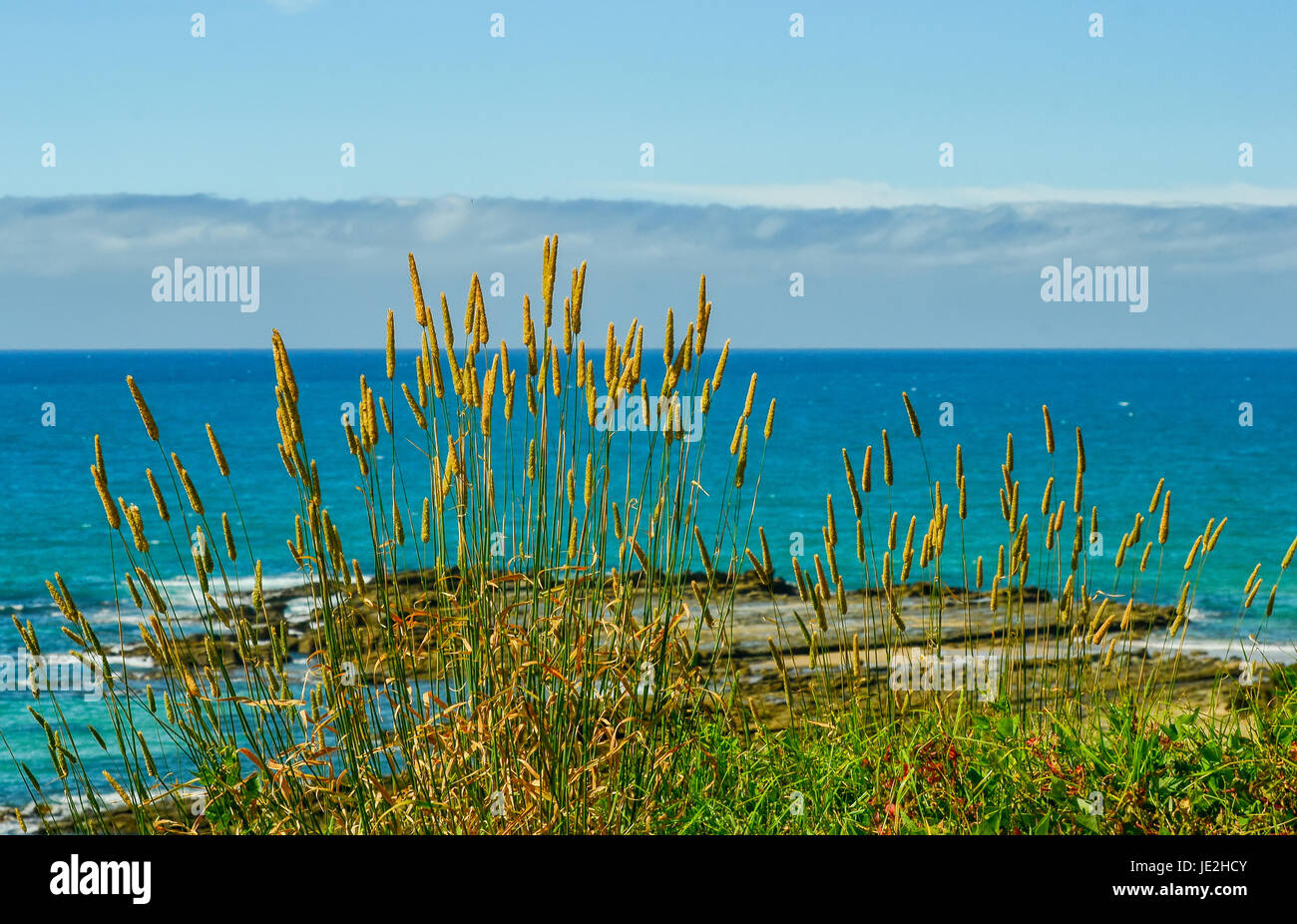 All shades of blue of the Pacific ocean. The Australian coast Stock ...