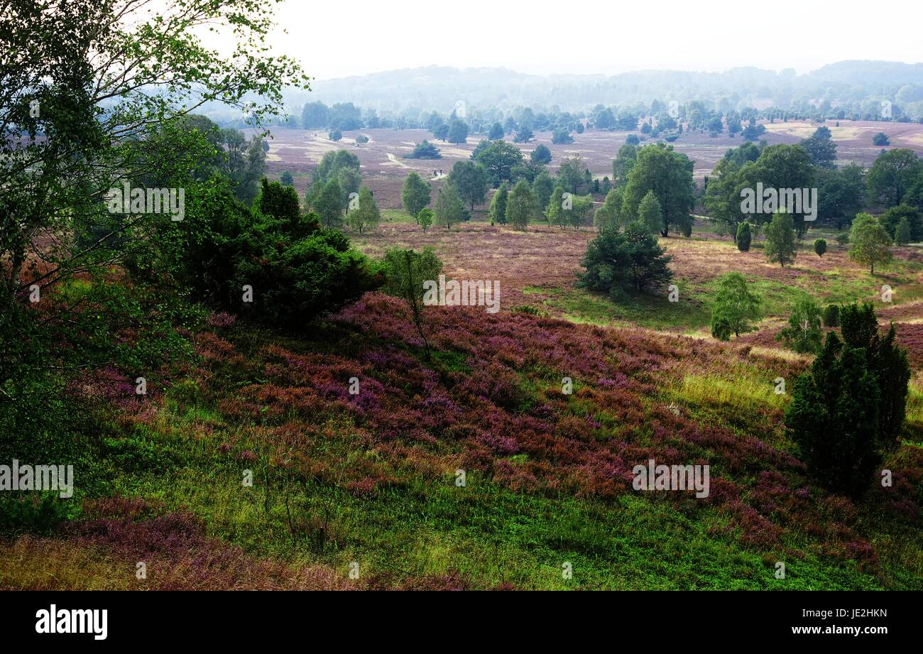 Stinted hi-res stock photography and images - Alamy