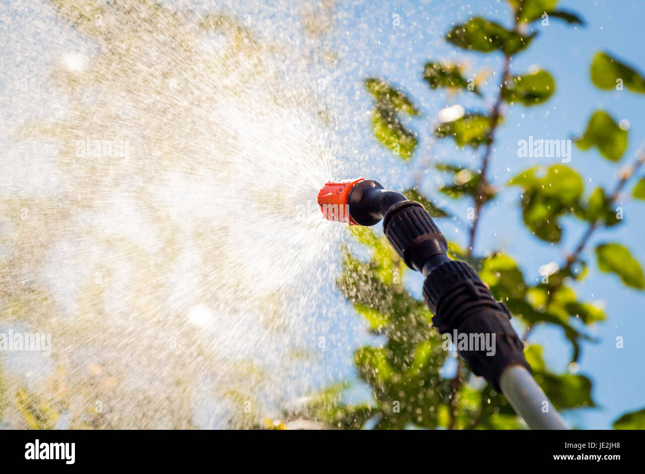 Spraying the leaves of trees against pests with chemicals Stock Photo ...