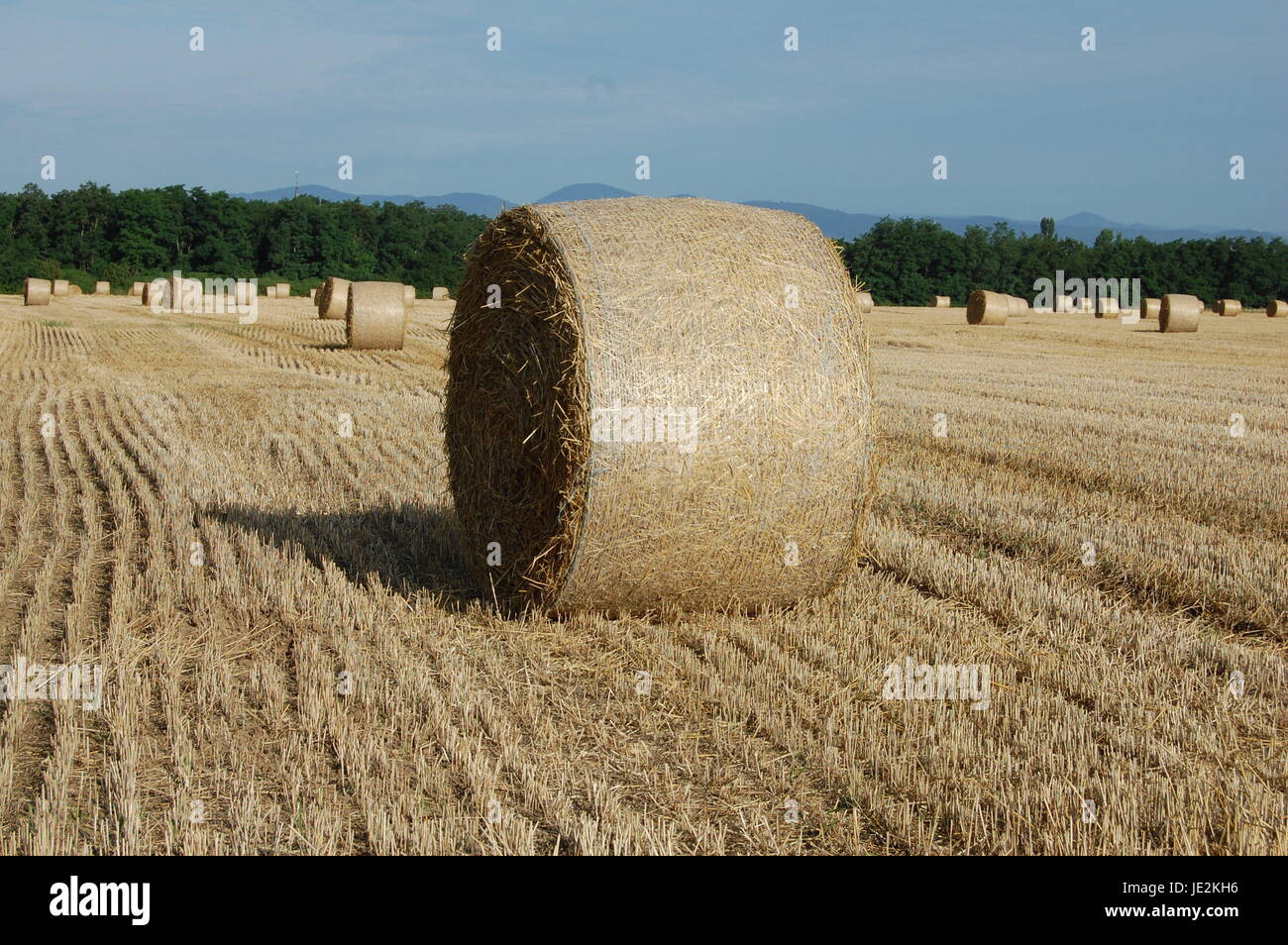 Field straw ball scenery hi-res stock photography and images - Alamy