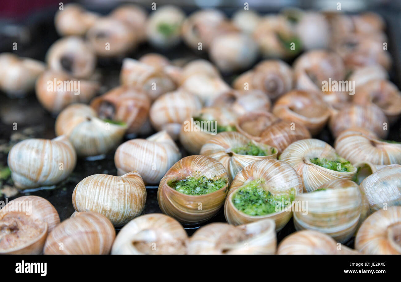 Cooked snails with garlic herbs sauce closeup Stock Photo - Alamy