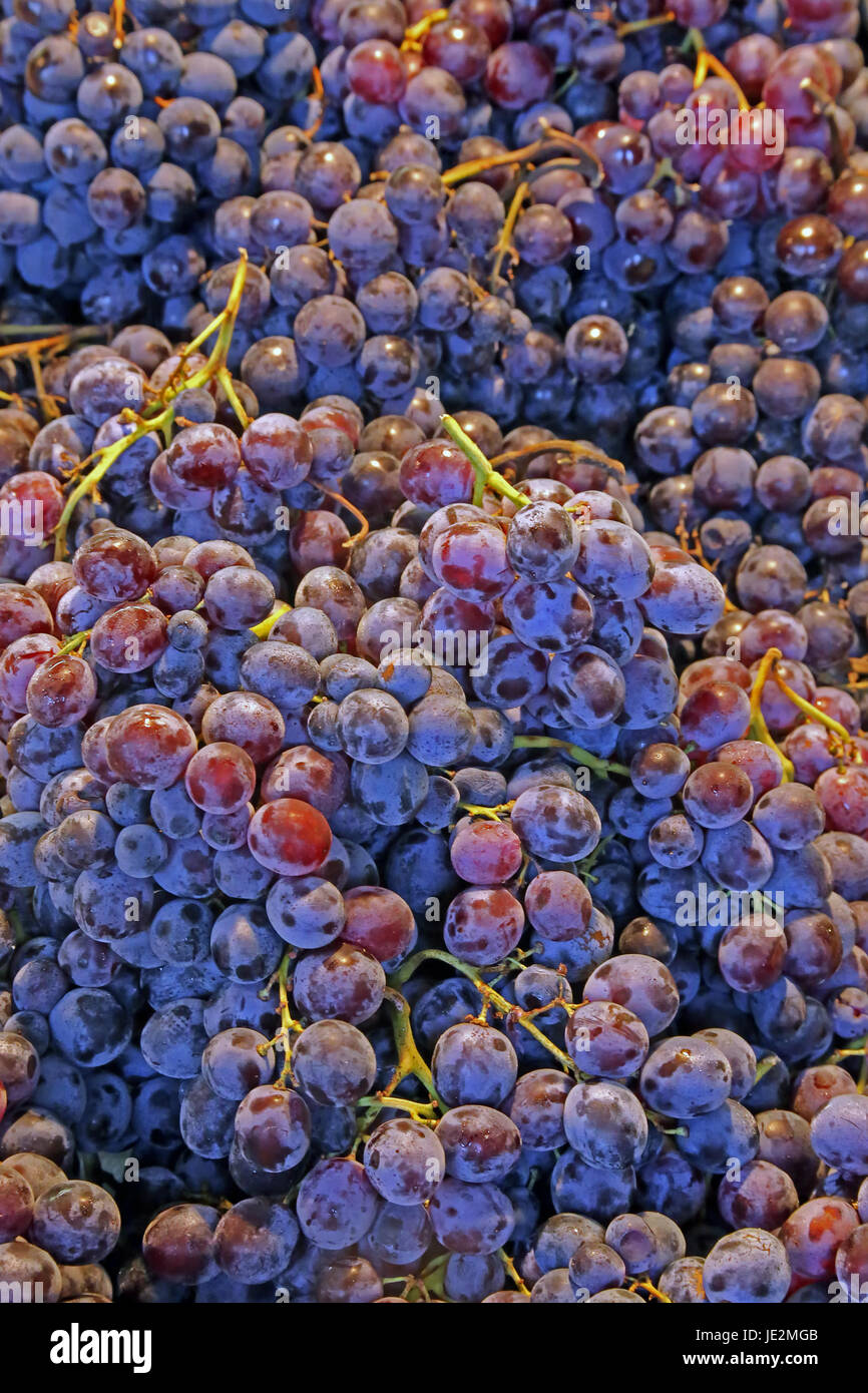 Market stall muscat grapes hi-res stock photography and images - Alamy