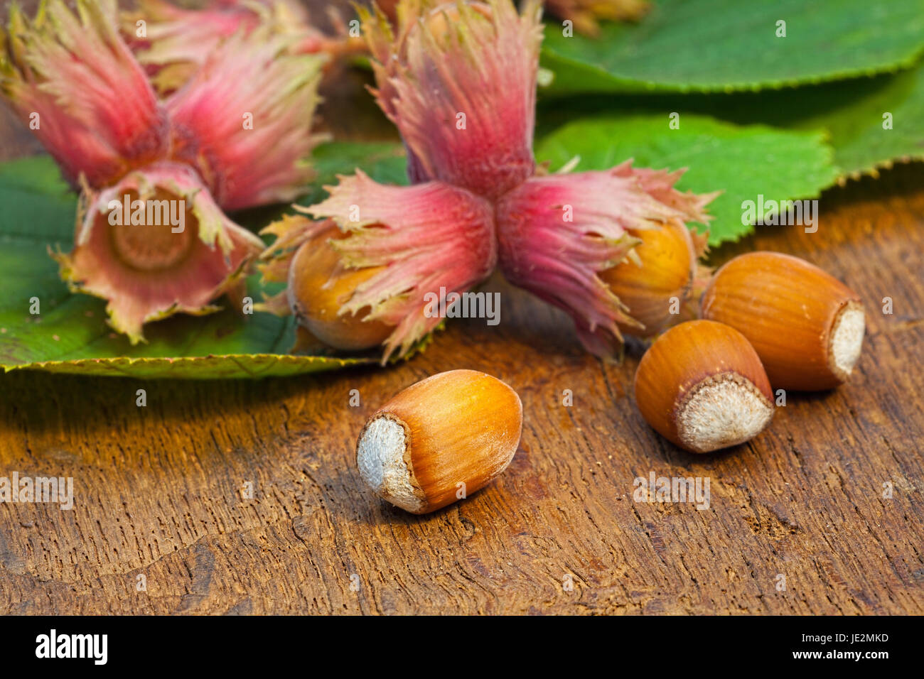 Ripe red Hazelnut fruits and leaves from the tree on old wooden board ...