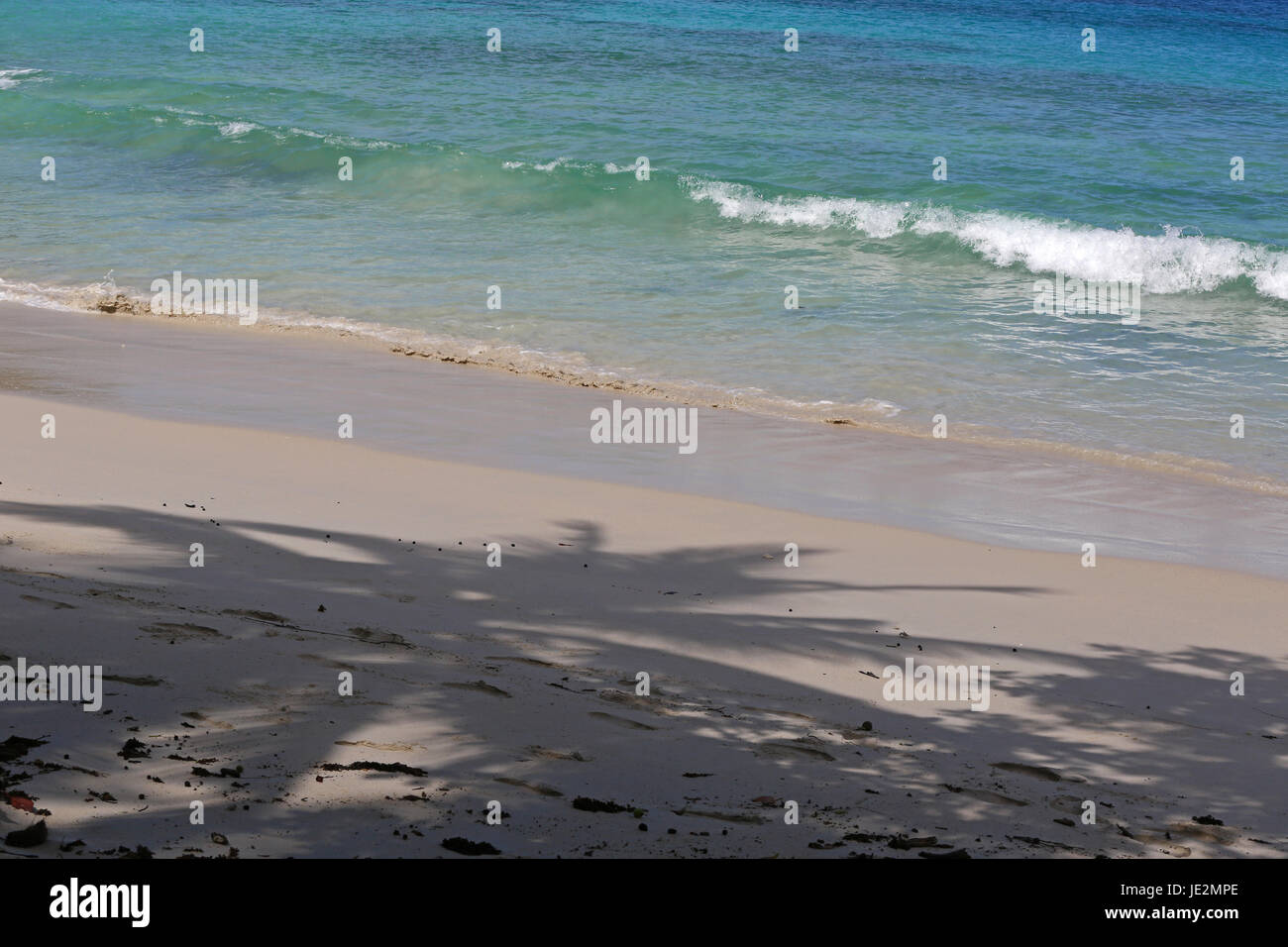 beach at the indian ocean Stock Photo - Alamy
