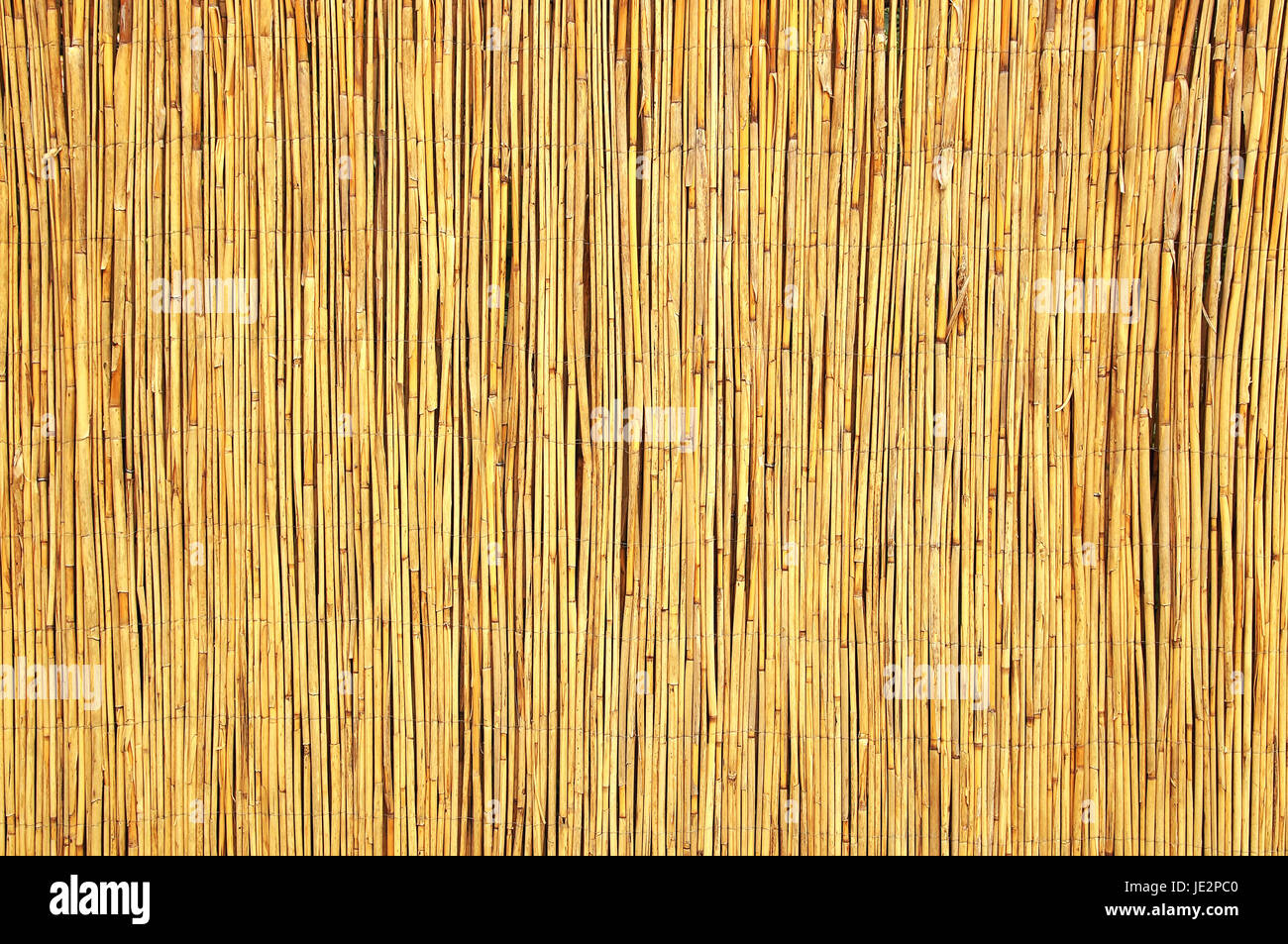 Reed structures hi-res stock photography and images - Alamy