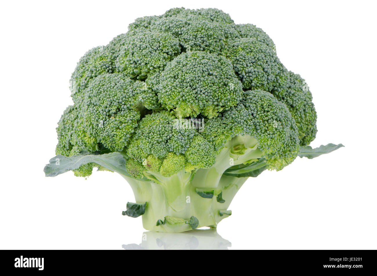 Broccoli isolated on a white background Stock Photo - Alamy