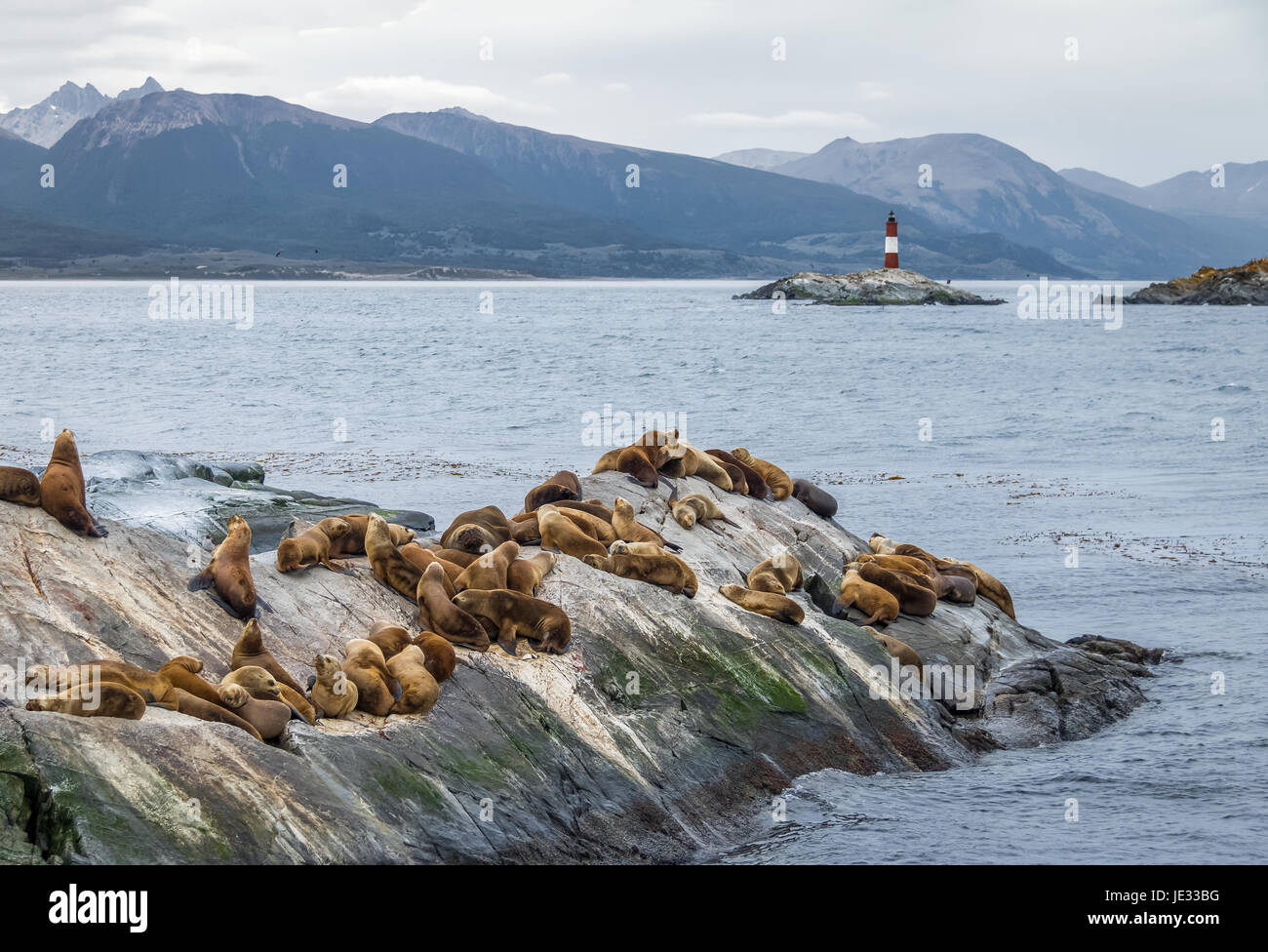 Sea Lions island and lighthouse - Beagle Channel, Ushuaia, Argentina ...