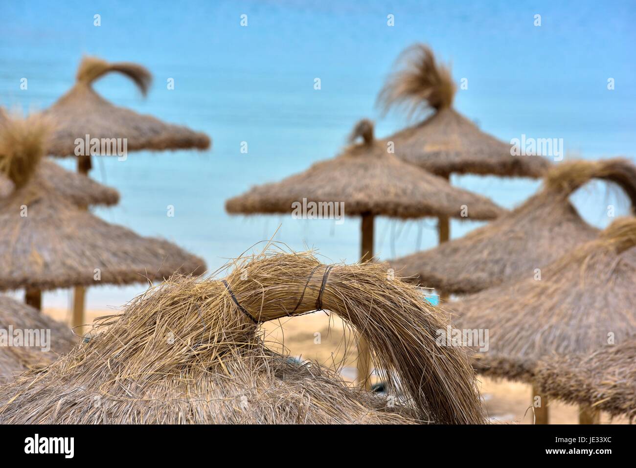 Straw sun brollies Stock Photo - Alamy