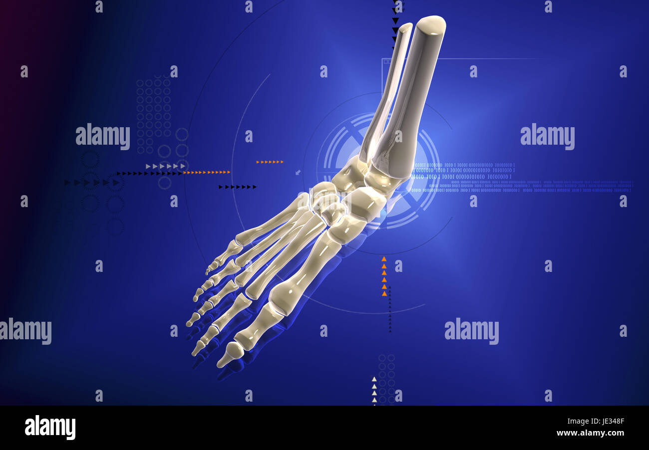 Computer graphics bone hi-res stock photography and images - Alamy