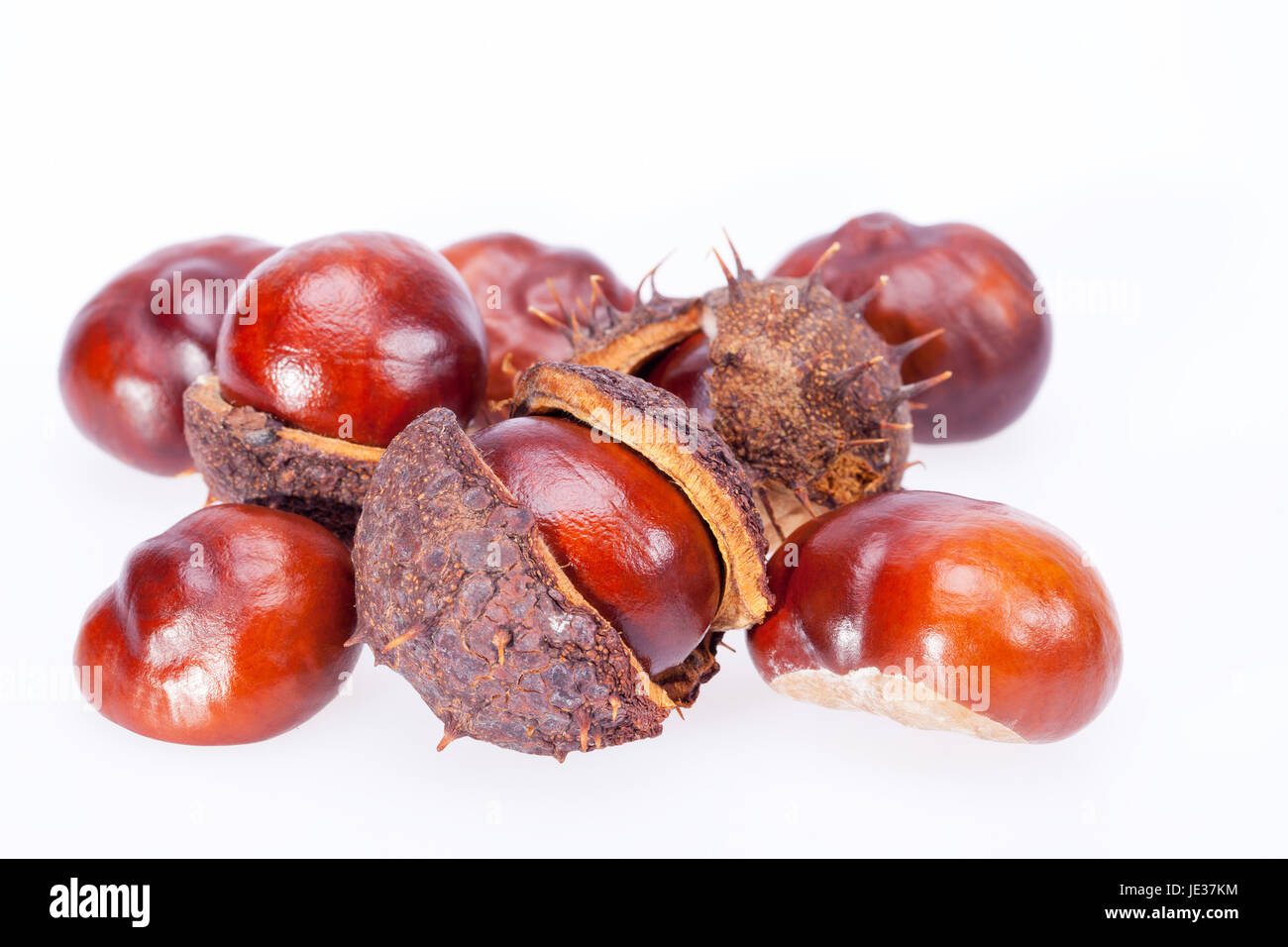 fruits of chestnuts in dry shell isolated on white background Stock ...