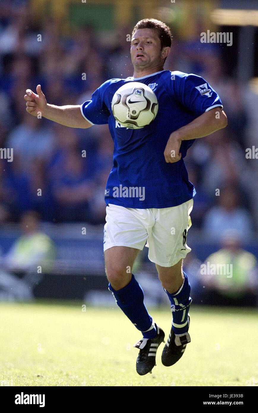 Tomasz Radzinski High Resolution Stock Photography and Images - Alamy