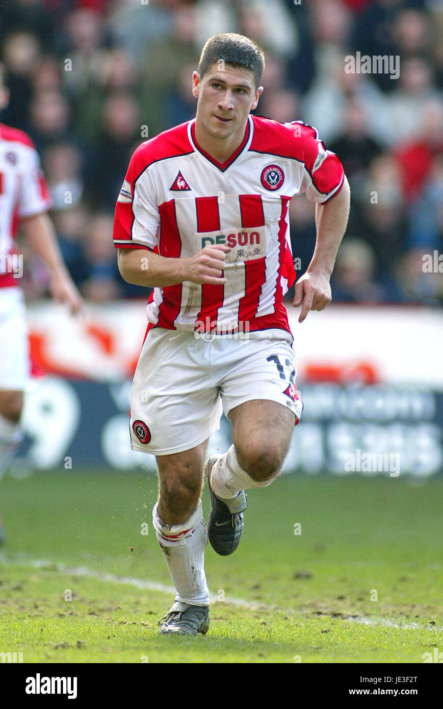 NICK MONTGOMERY SHEFFIELD UNITED FC BRAMALL LANE SHEFFIELD ENGLAND 09 ...