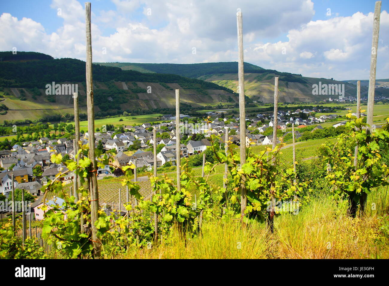 Mosel landschaften hi-res stock photography and images - Alamy