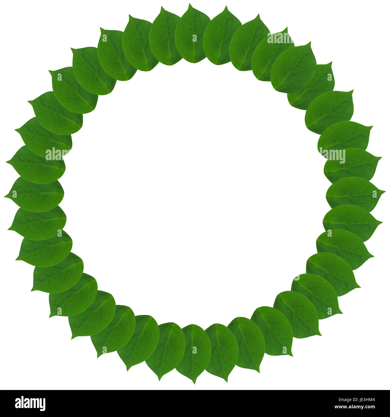 Green circle from leaves isolated on white background Stock Photo - Alamy