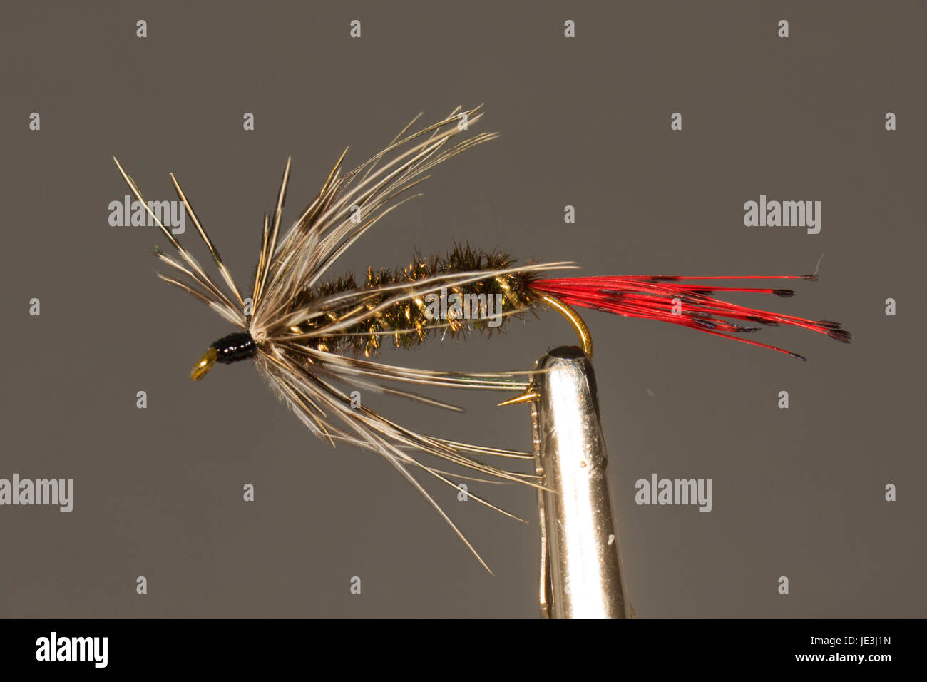 Streamer fly fishing flies hi-res stock photography and images - Alamy