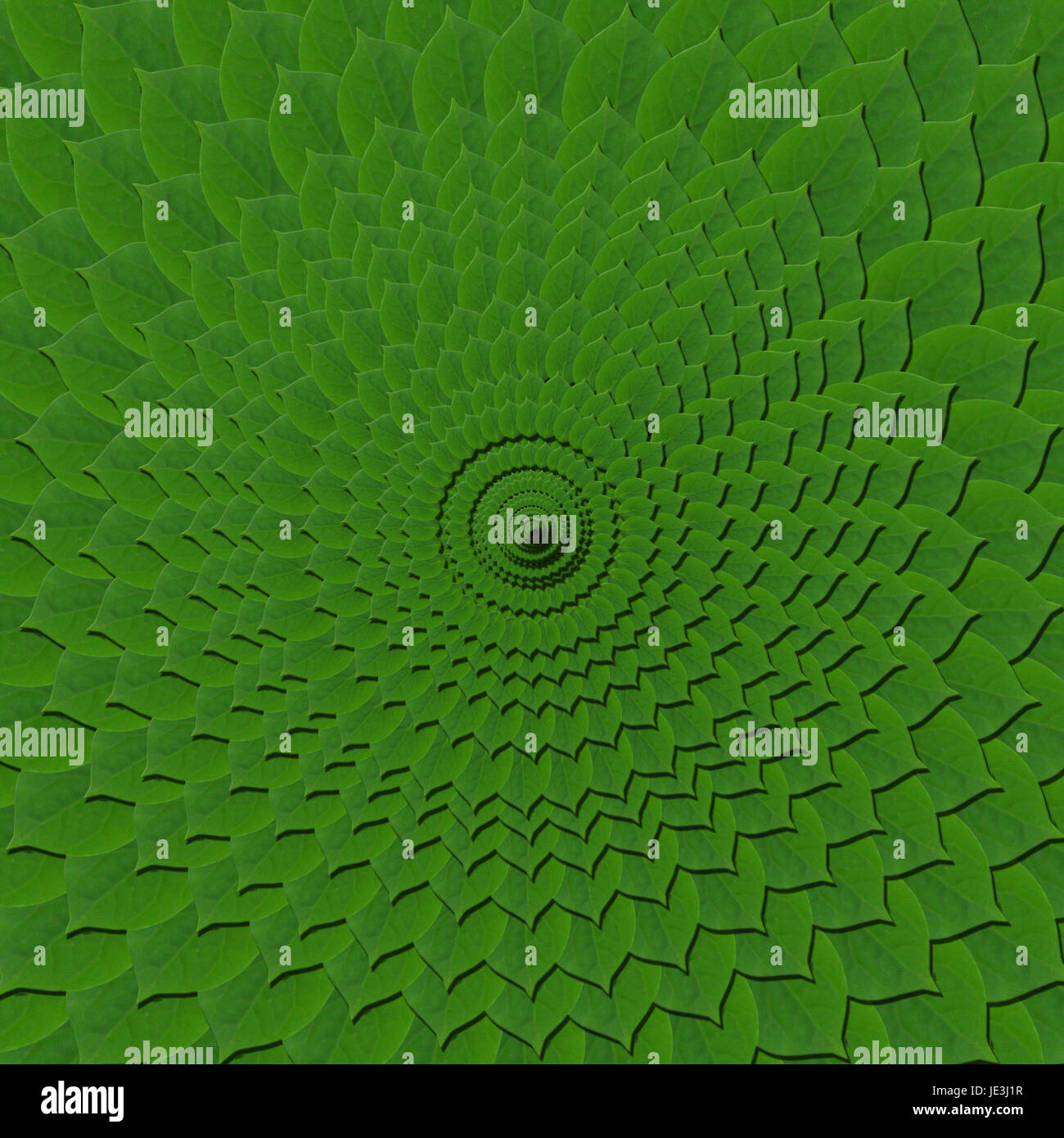 background from circle pattern of green leaves Stock Photo - Alamy
