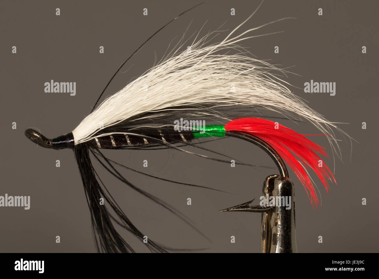 Steelhead streamer fishing fly Stock Photo - Alamy