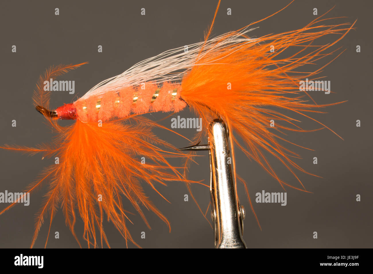 Steelhead streamer fishing fly Stock Photo - Alamy