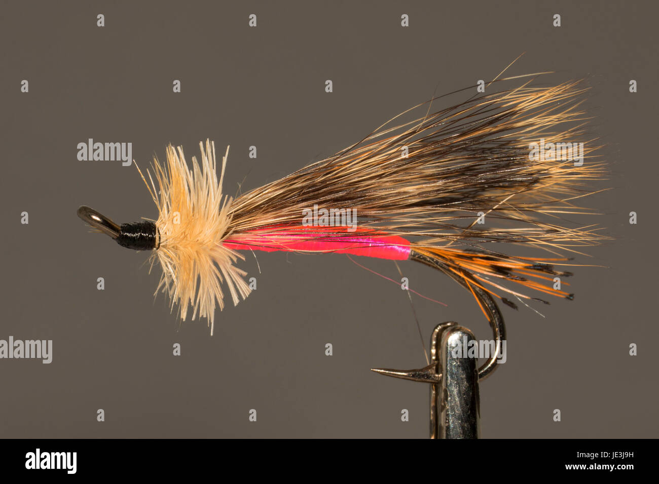 Streamer flies hi-res stock photography and images - Alamy