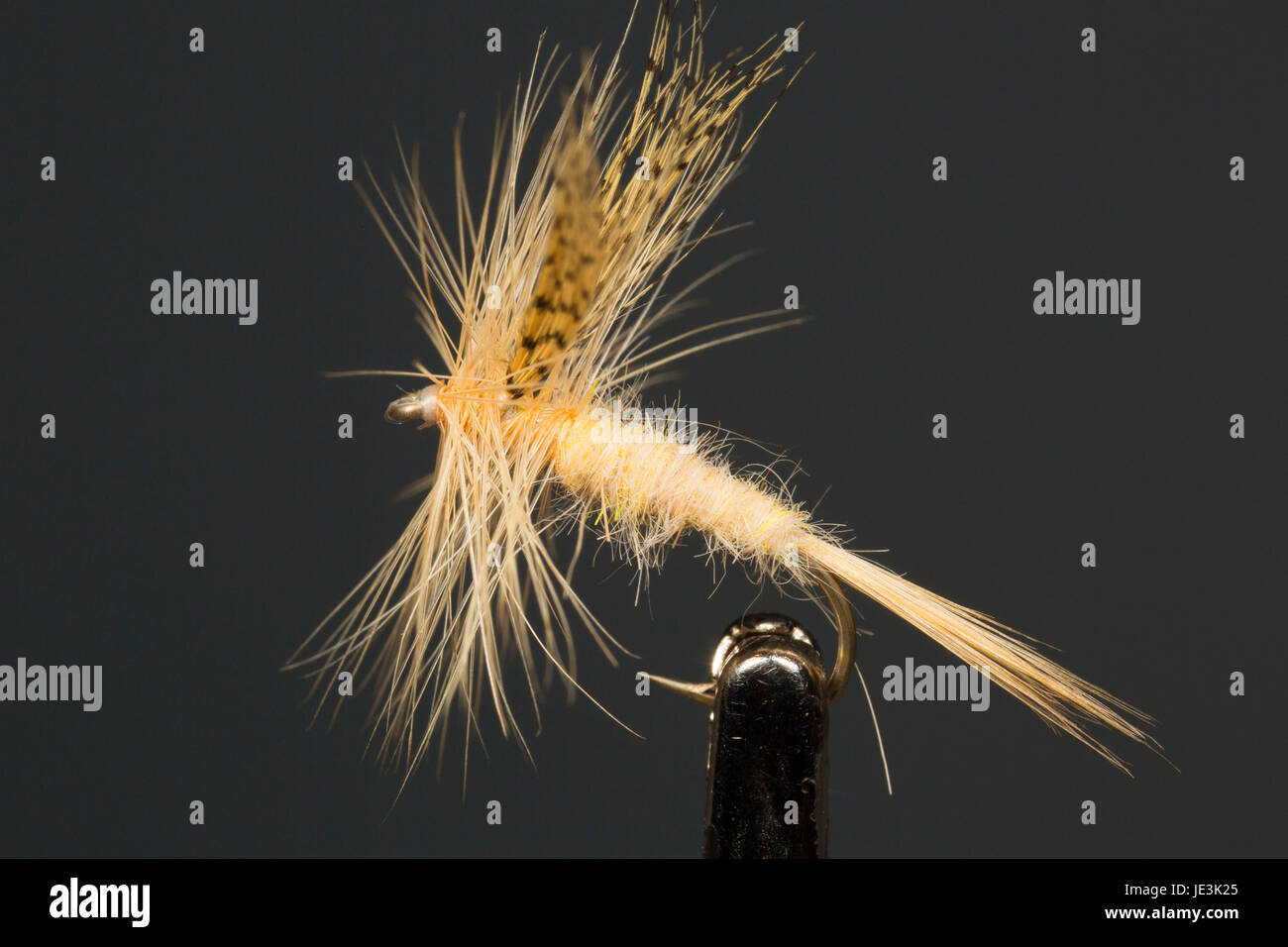 Light Cahill fishing fly Stock Photo - Alamy