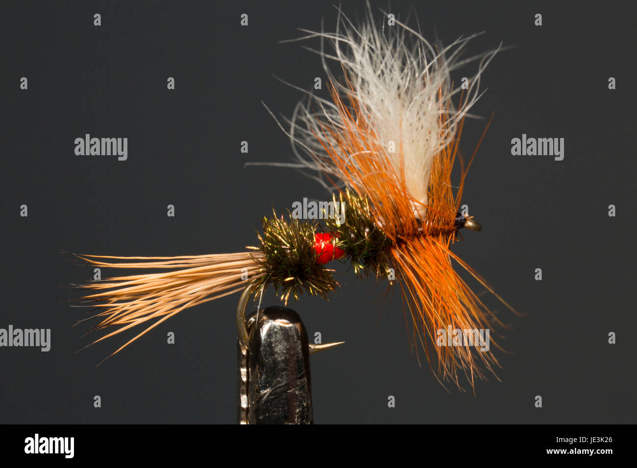 Royal Wulff fishing fly Stock Photo - Alamy