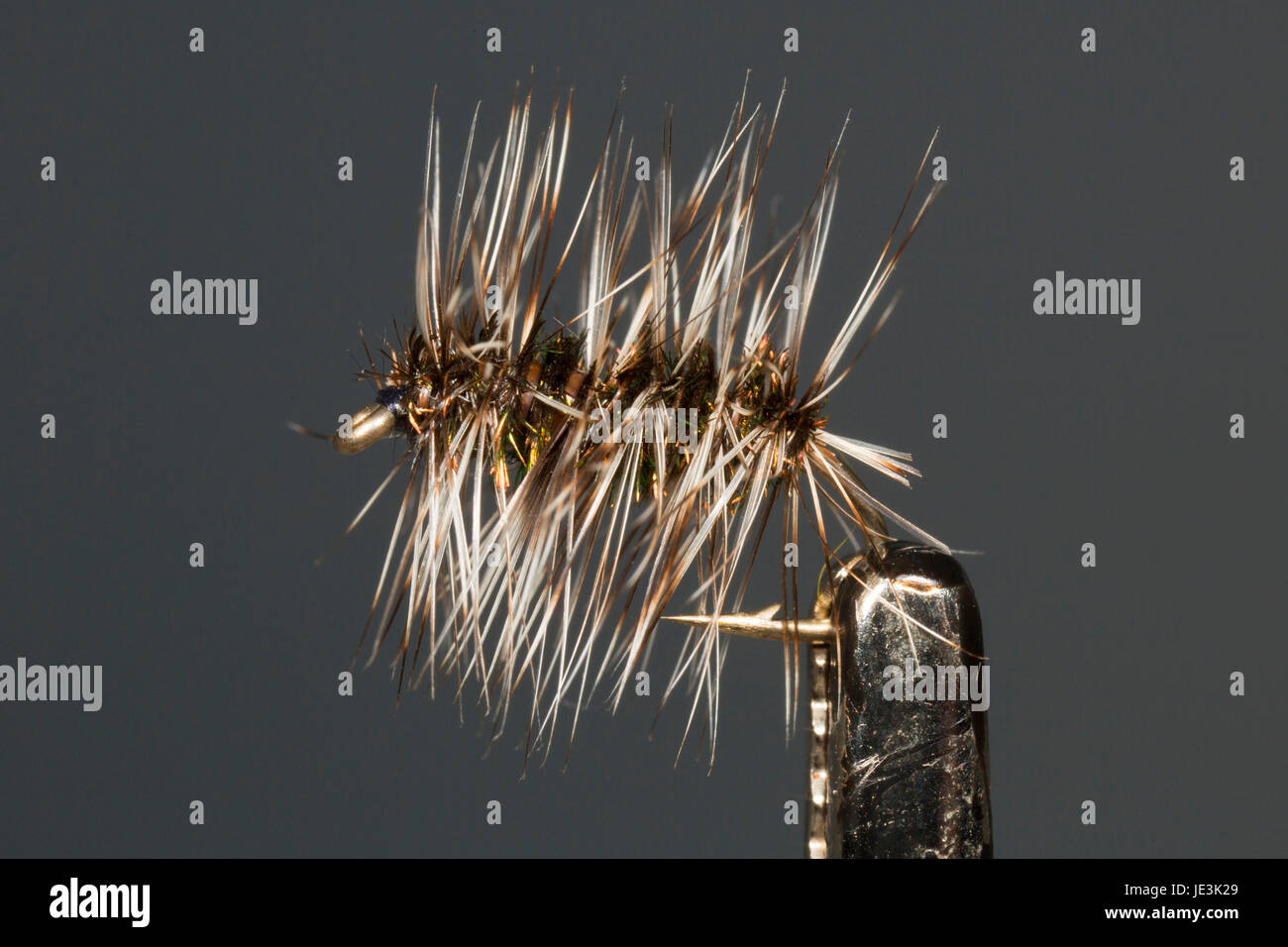 Griffith' Gnat fishing fly Stock Photo - Alamy
