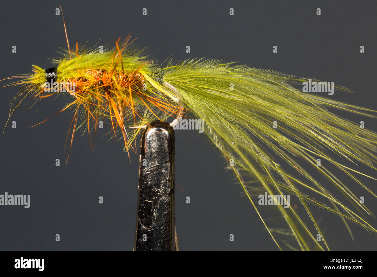 Callibaetis hi-res stock photography and images - Alamy