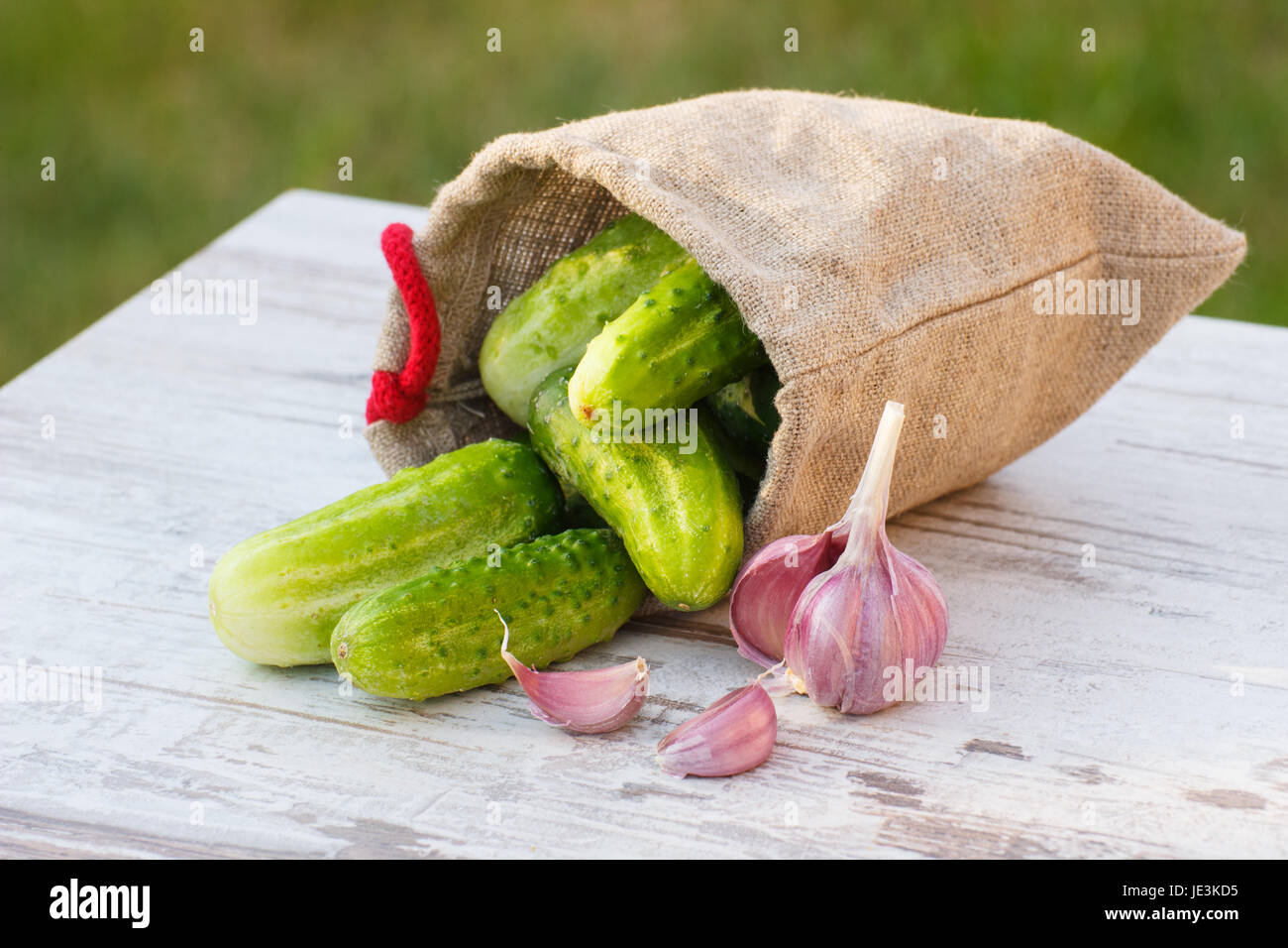 Ripe cucumbers in jute bag and fresh garlic on old white wooden table ...