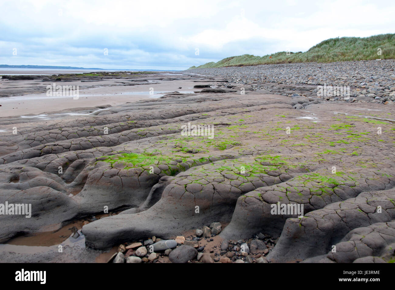 unusual mud banks at Beal beach in county Kerry Ireland on the wild ...