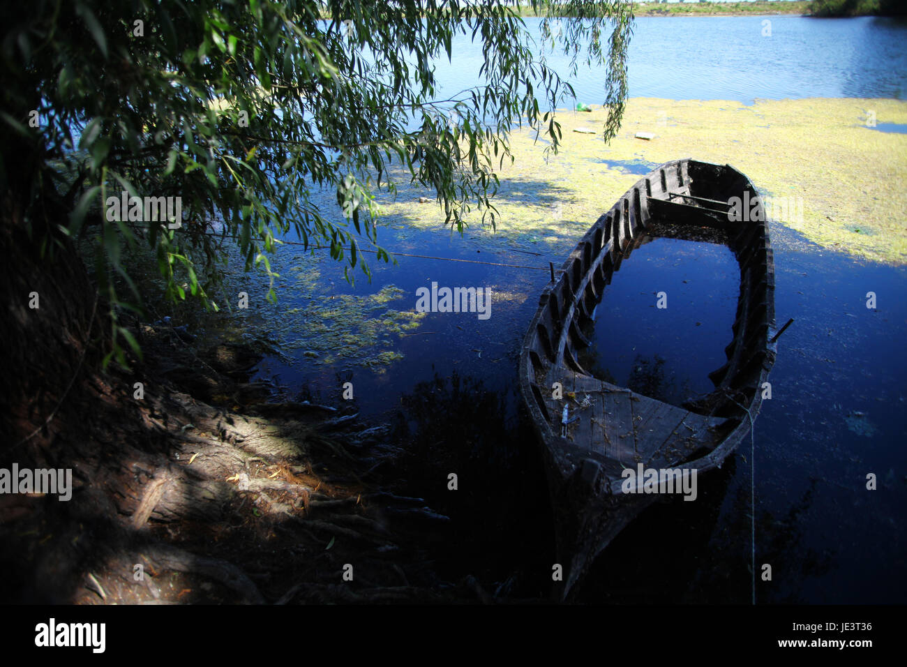 A boat filled with water on a river bank Stock Photo - Alamy