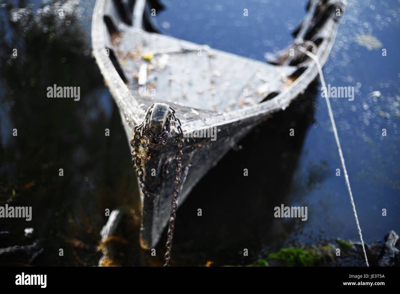 A boat filled with water on a river bank Stock Photo - Alamy