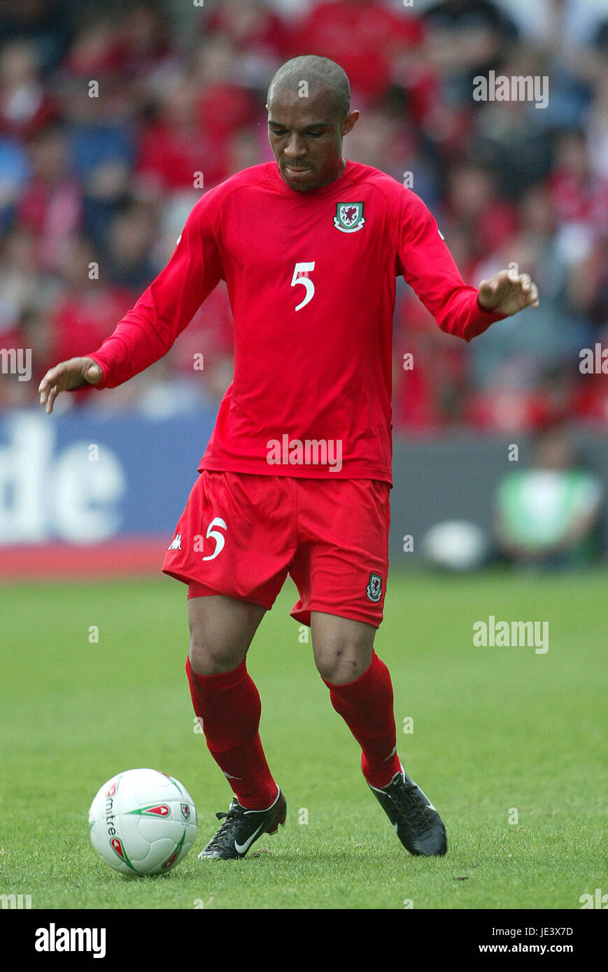 Danny gabbidon wales hi-res stock photography and images - Alamy