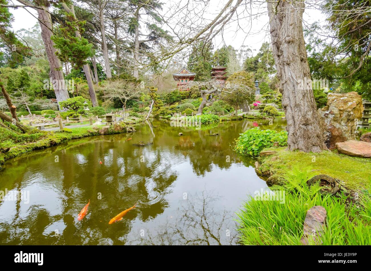 Koi pond shrine hi-res stock photography and images - Alamy