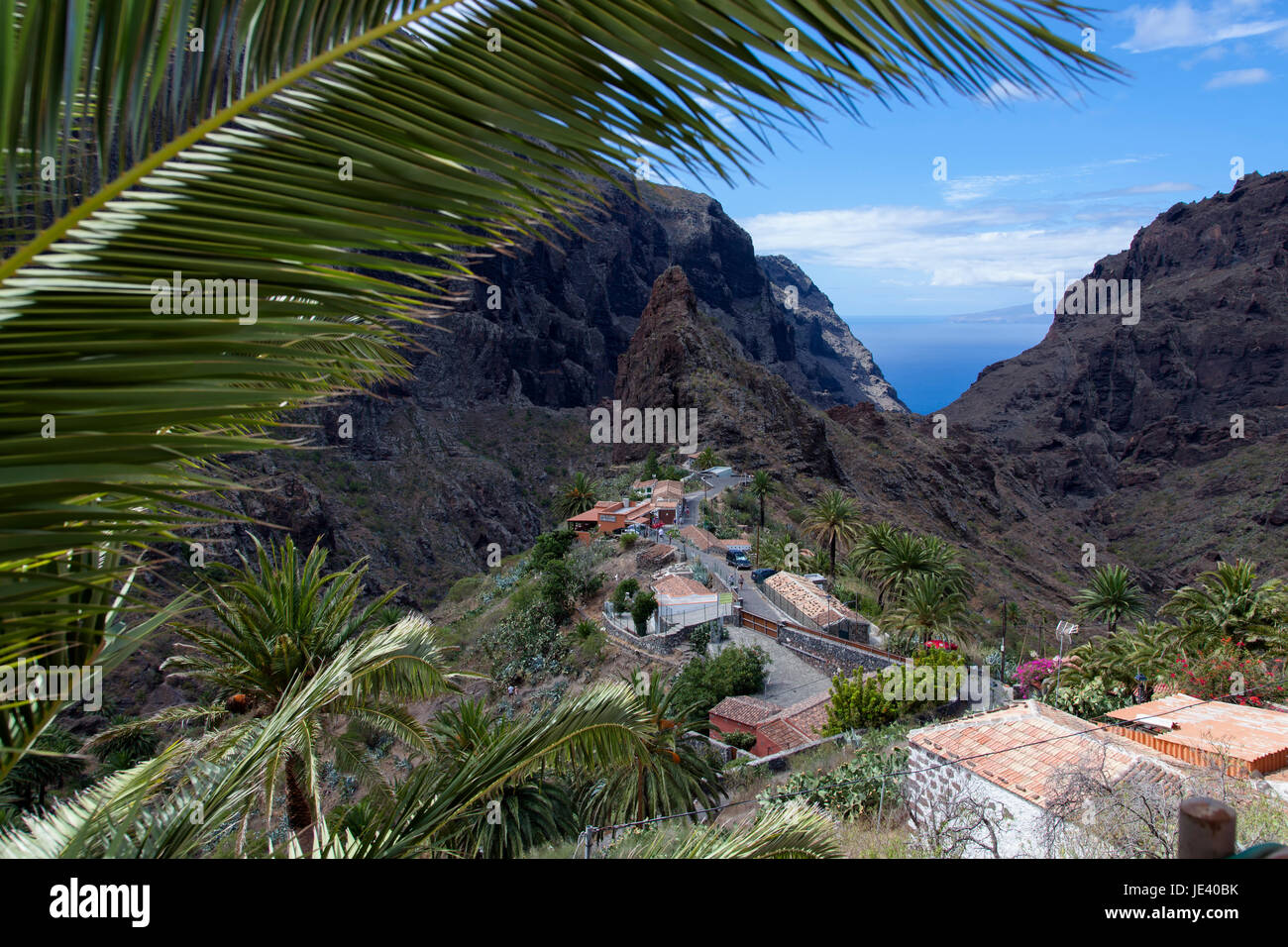 masca in tenerife,spain Stock Photo - Alamy