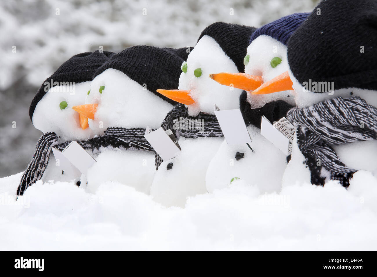 Sining hi-res stock photography and images - Alamy