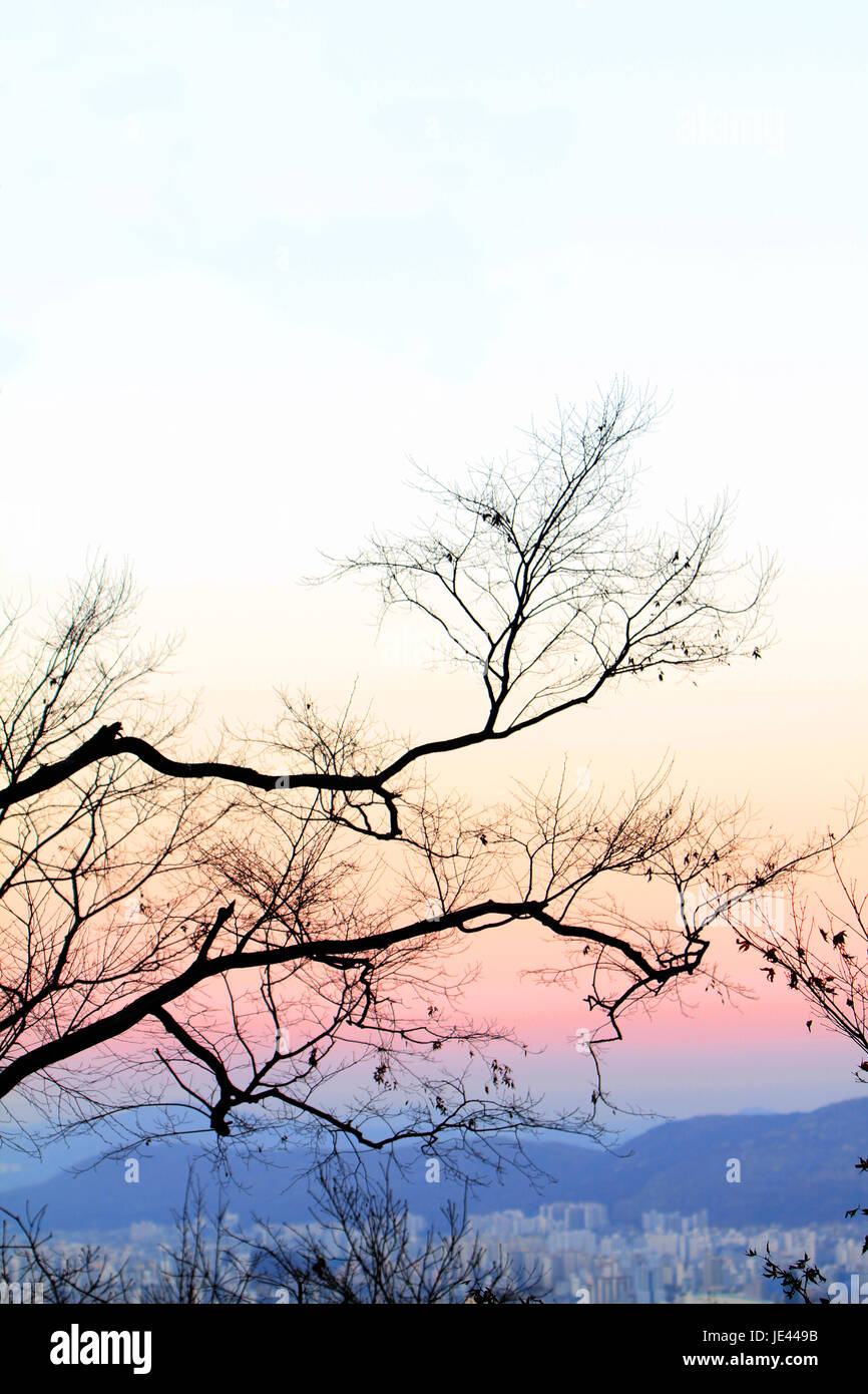 Twigs art hi-res stock photography and images - Alamy