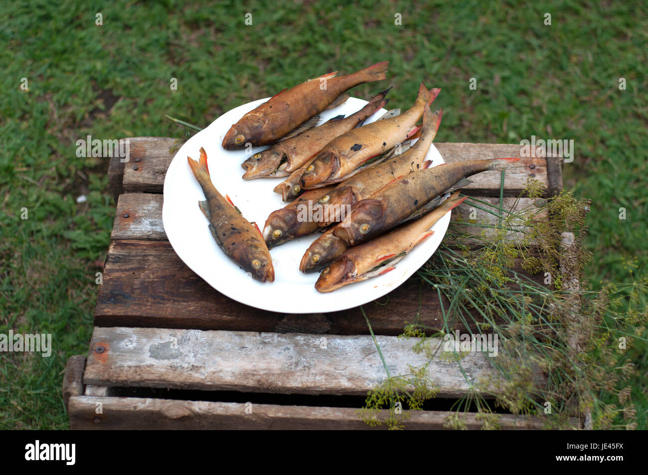 Smoked organic fish in nature Stock Photo - Alamy