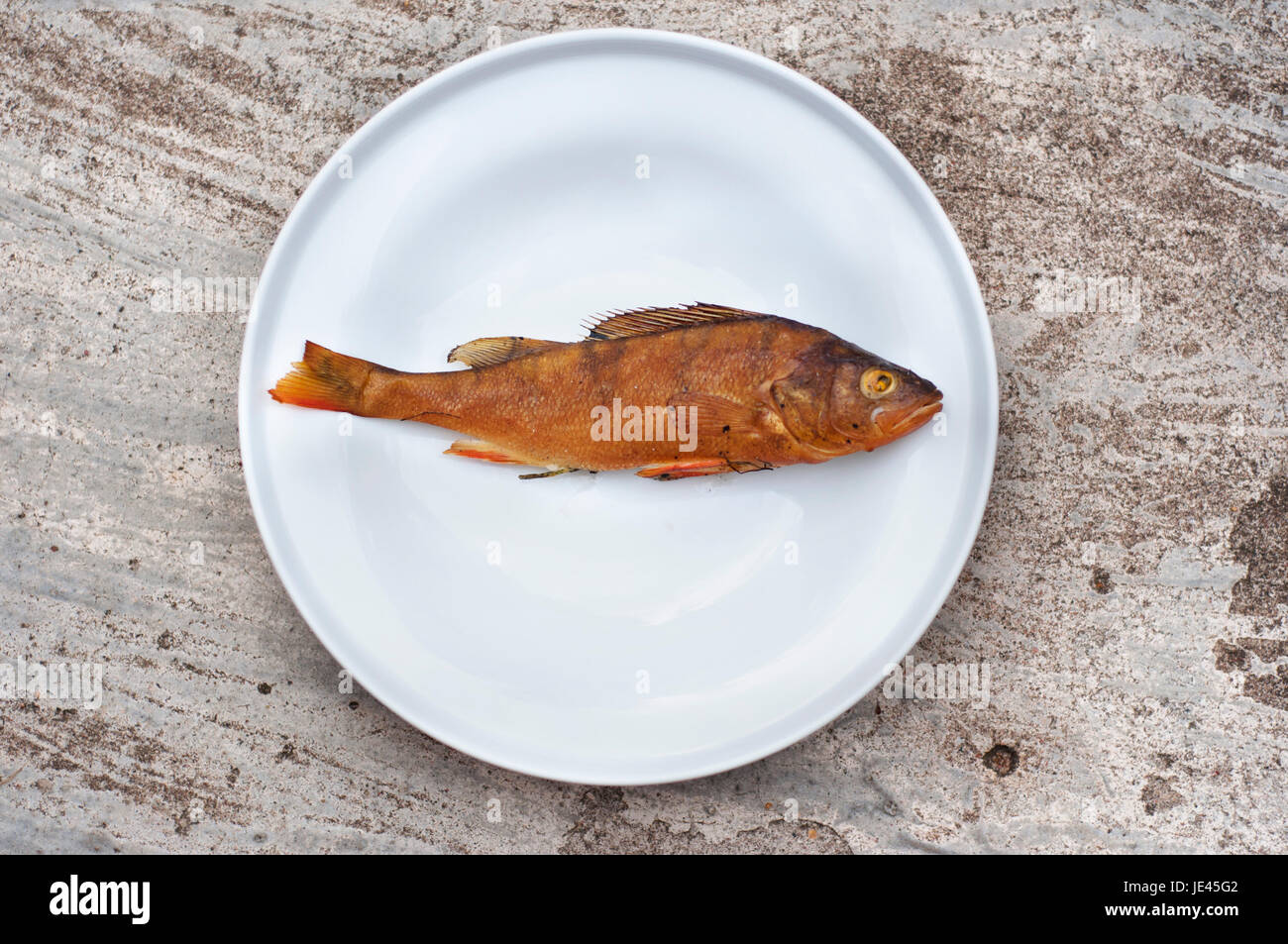 Smoked organic fish in nature Stock Photo - Alamy