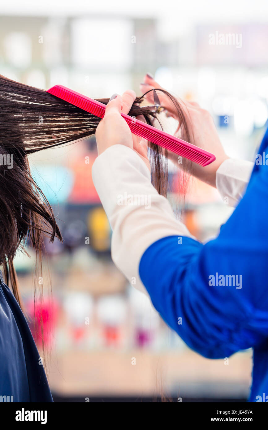 Female coiffeur cutting women hair in hairdresser shop Stock Photo - Alamy