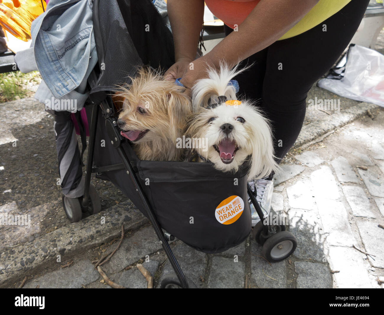 New york protest dogs hi-res stock photography and images - Alamy