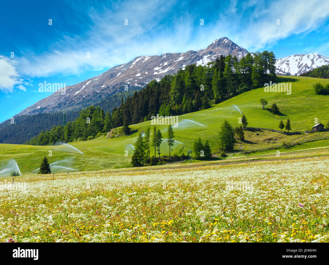 Irrigation water spouts in Summer Alps mountain (Italy). Blue sky with ...