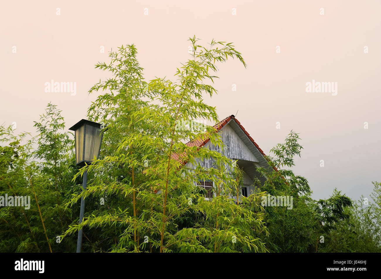 House of bamboo hi-res stock photography and images - Alamy