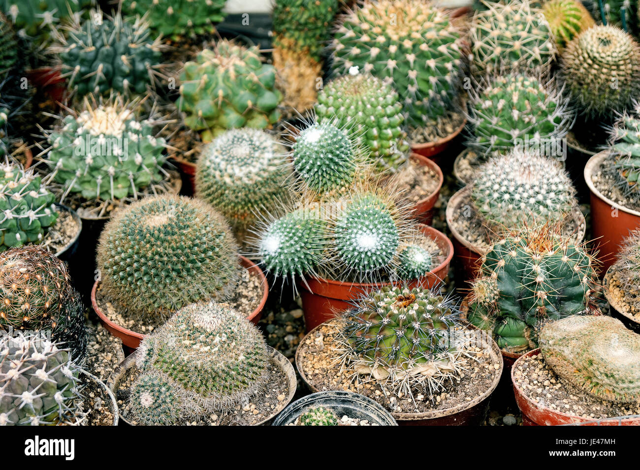 Unterschiedliches hi-res stock photography and images - Alamy