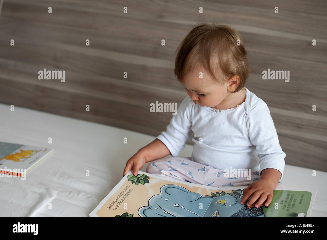 Educational Development Stock Photos & Educational Development Stock ...